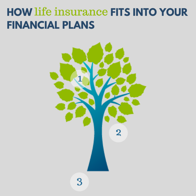 No Exam Life Insurance Policy: Complete Guide & How to Apply